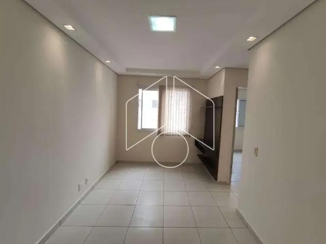 Apartamento para Locação em Marília/SP Jardim Alvorada 2 Quartos
