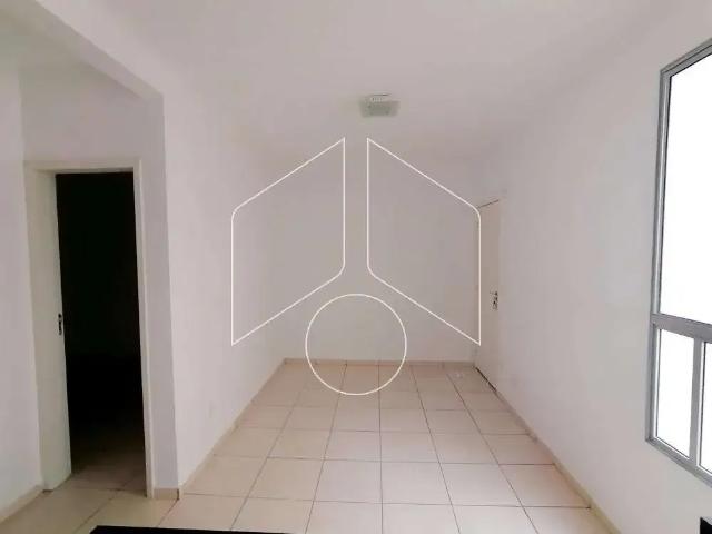 Apartamento para Locação em Marília/SP Jardim Califórnia 2 Quartos