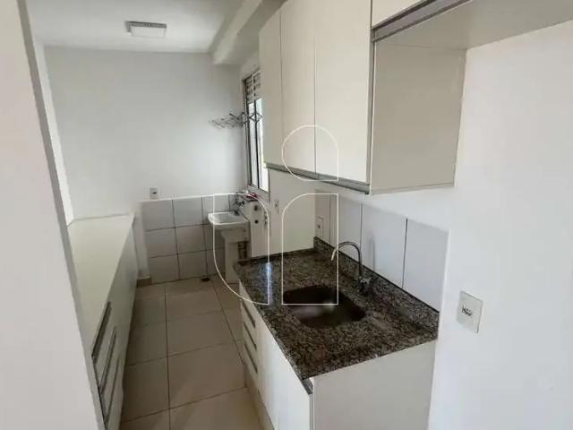 Apartamento para Locação em Marília/SP Jardim Tangará 3 Quartos