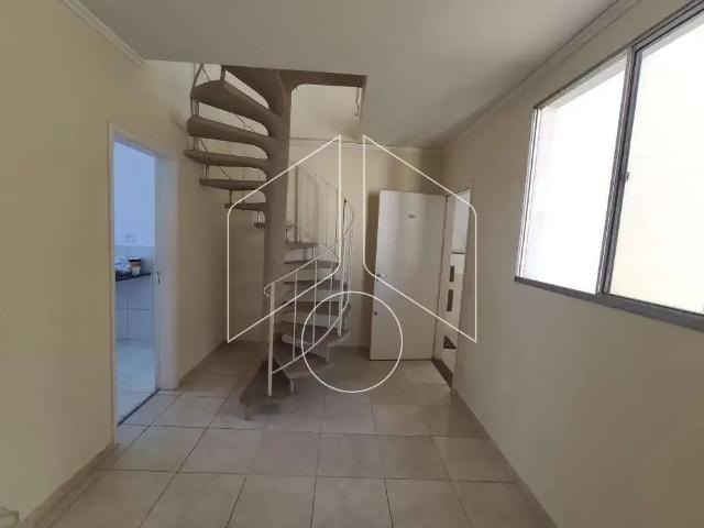 Apartamento para Locação em Marília/SP Senador Salgado Filho 3 Quartos
