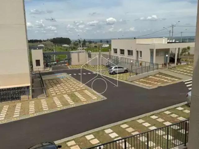Apartamento para Locação em Marília/SP Parque das Flores 2 Quartos
