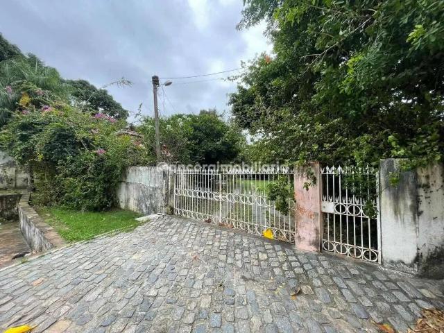 Apartamento para Locação em Olinda/PE Monte 4 Quartos
