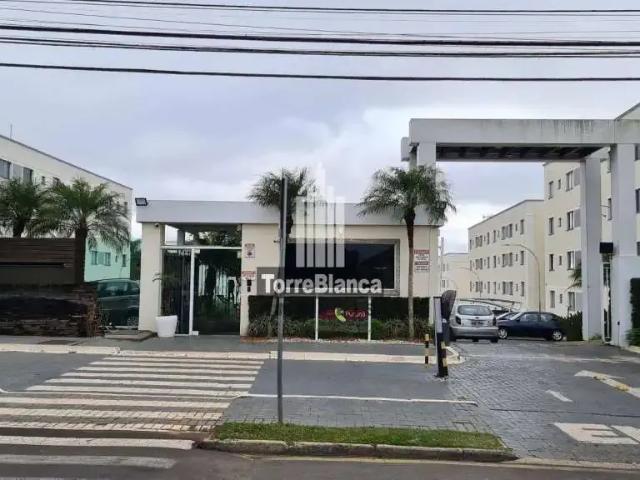 Apartamento para Locação em Ponta Grossa/PR Uvaranas 2 Quartos