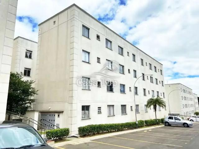 Apartamento para Locação em Ponta Grossa/PR Uvaranas 2 Quartos