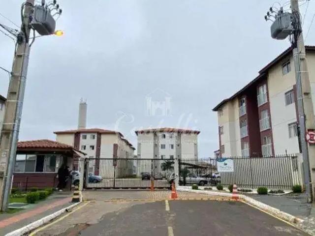 Apartamento para Locação em Ponta Grossa/PR Uvaranas 2 Quartos