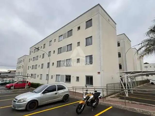 Apartamento para Locação em Ponta Grossa/PR Uvaranas 2 Quartos