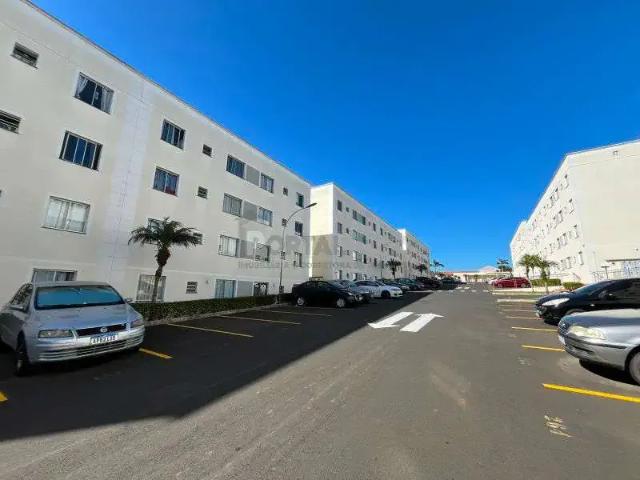 Apartamento para Locação em Ponta Grossa/PR Uvaranas 2 Quartos