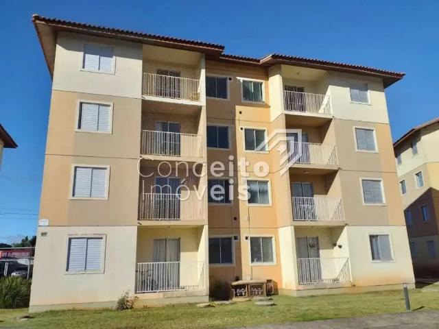 Apartamento para Locação em Ponta Grossa/PR Uvaranas 2 Quartos