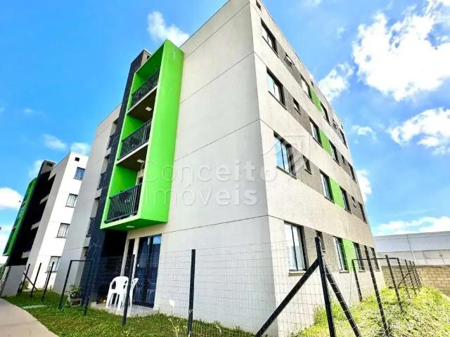 Apartamento para Locação em Ponta Grossa/PR Chapada 2 Quartos