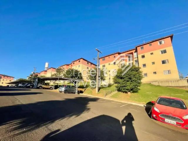Apartamento para Locação em Ponta Grossa/PR Estrela 2 Quartos