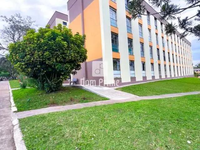Apartamento para Locação em Ponta Grossa/PR Jardim Carvalho 3 Quartos