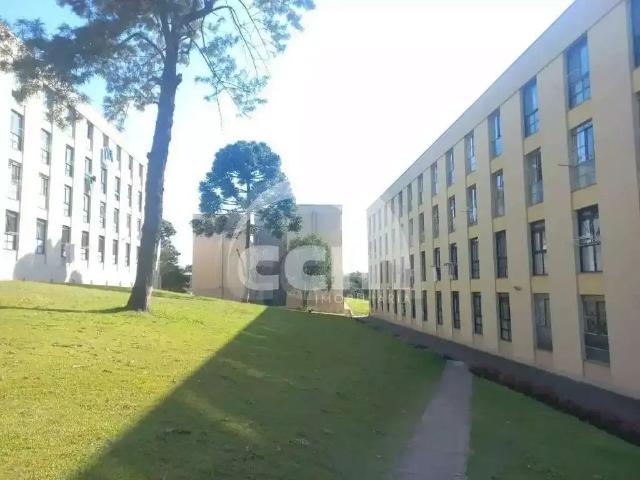 Apartamento para Locação em Ponta Grossa/PR Jardim Carvalho 3 Quartos