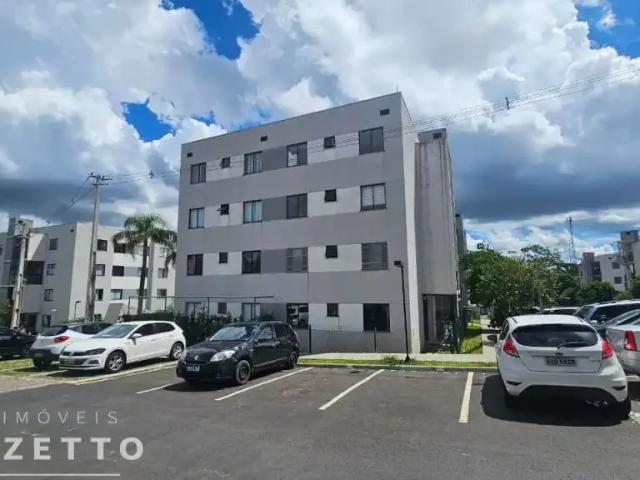Apartamento para Locação em Ponta Grossa/PR Jardim Carvalho 2 Quartos