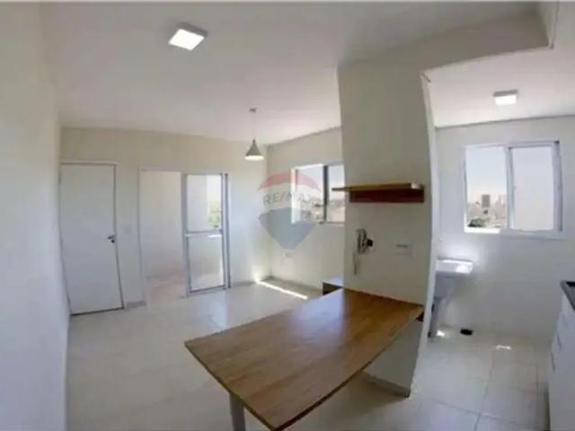Apartamento para Locação em Ribeirão Preto/SP Vila Monte Alegre 2 Quartos