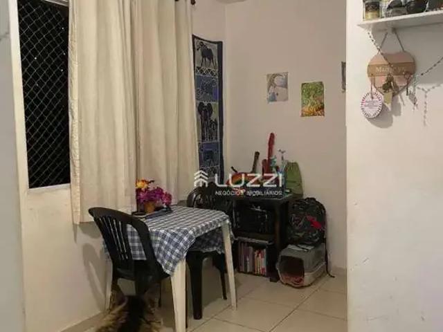 Apartamento para Locação em São José do Rio Preto/SP Cidade Nova 1 Quartos