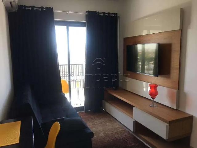 Apartamento para Locação em São José do Rio Preto/SP Jardim Walkíria 1 Quartos