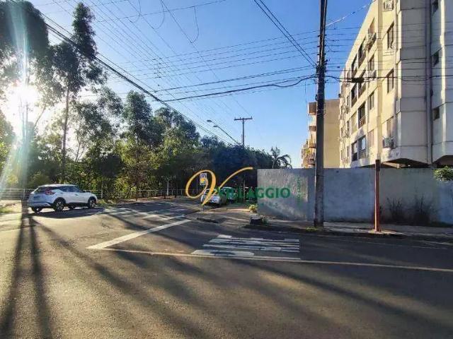 Apartamento para Locação em São José do Rio Preto/SP Jardim Vivendas 3 Quartos