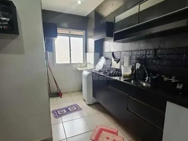 Apartamento para Locação em São José do Rio Preto/SP Loteamento Residencial Maria Adélia 2 Quartos