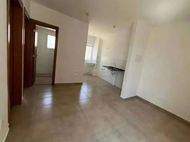 Apartamento para Locação em São José do Rio Preto/SP Parque das Amoras II 2 Quartos