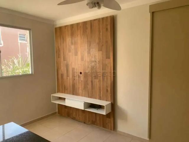 Apartamento para Locação em São José do Rio Preto/SP Parque das Flores II 2 Quartos