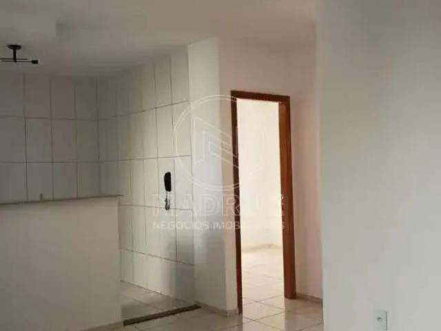 Apartamento para Locação em São José do Rio Preto/SP Residencial Palestra 2 Quartos