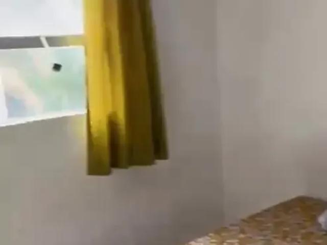 Apartamento para Locação em São José dos Campos/SP Vila Industrial 2 Quartos