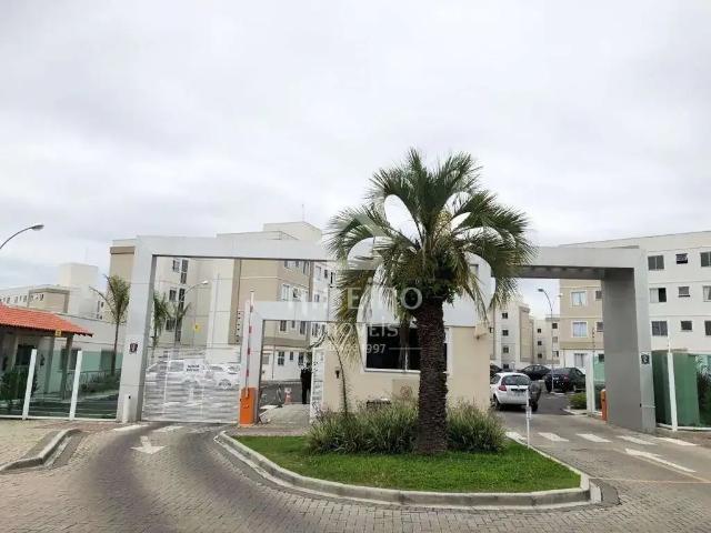 Apartamento para Locação em São José dos Pinhais/PR Ouro Fino 2 Quartos