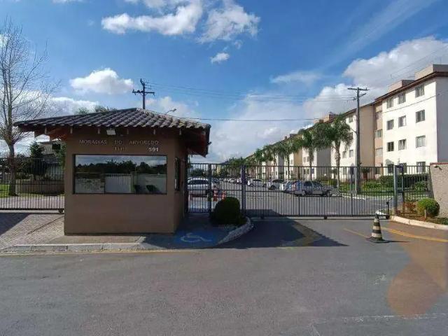Apartamento para Locação em São José dos Pinhais/PR Afonso Pena 3 Quartos