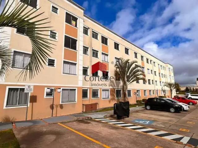 Apartamento para Locação em São José dos Pinhais/PR Boneca do Iguaçu 2 Quartos