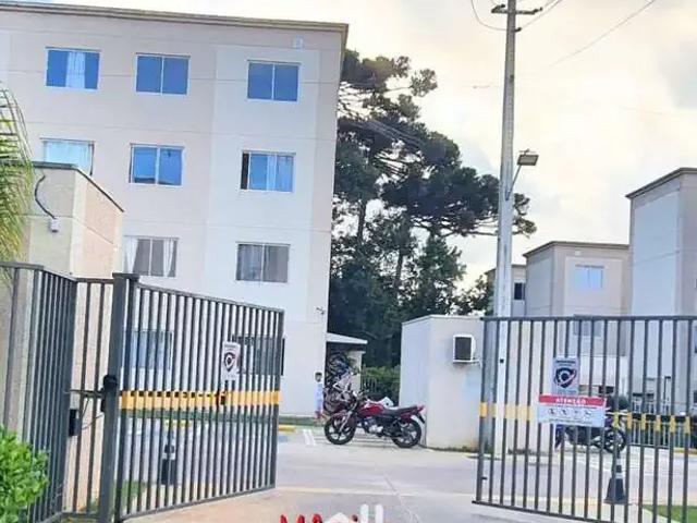 Apartamento para Locação em São José dos Pinhais/PR Colônia Rio Grande 2 Quartos