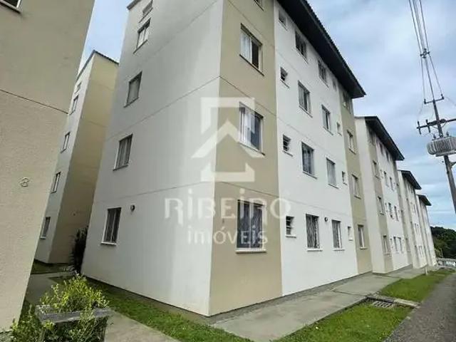 Apartamento para Locação em São José dos Pinhais/PR Itália 2 Quartos