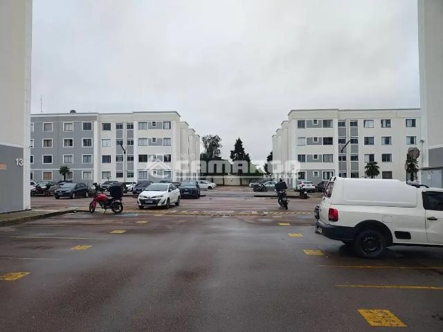 Apartamento para Locação em São José dos Pinhais/PR Iná 2 Quartos