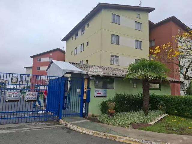Apartamento para Locação em São José dos Pinhais/PR Iná 2 Quartos