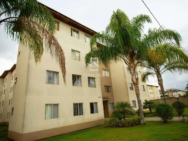 Apartamento para Locação em São José dos Pinhais/PR Iná 3 Quartos