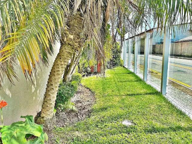 Apartamento para Locação em São José/SC Kobrasol 1 Quartos