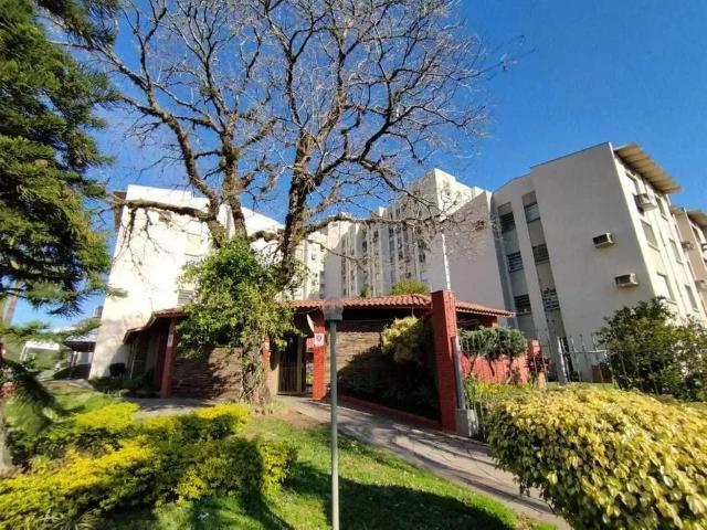 Apartamento para Locação em São Leopoldo/RS Cristo Rei 2 Quartos