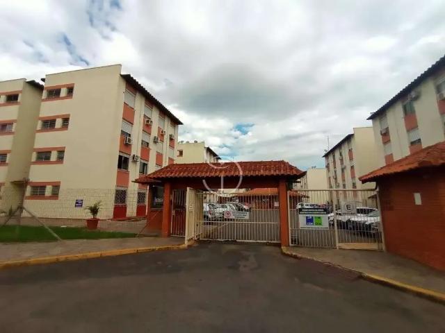 Apartamento para Locação em São Leopoldo/RS São Miguel 3 Quartos