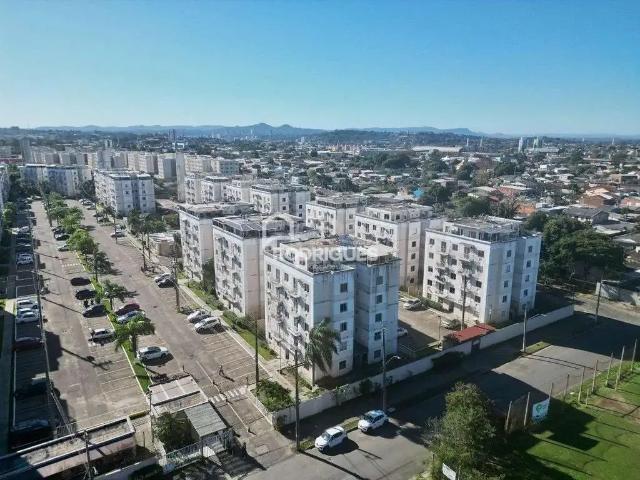 Apartamento para Locação em São Leopoldo/RS Santos Dumont 4 Quartos