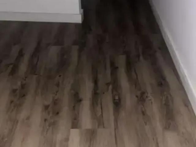 Apartamento para Locação em São Paulo/SP Tatuapé 1 Quartos