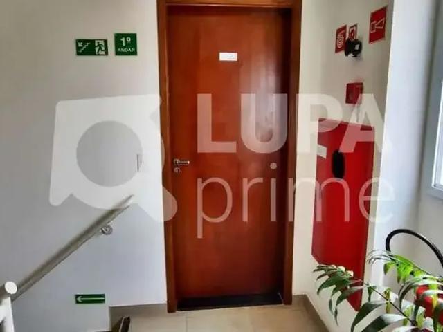 Apartamento para Locação em São Paulo/SP Tucuruvi 2 Quartos
