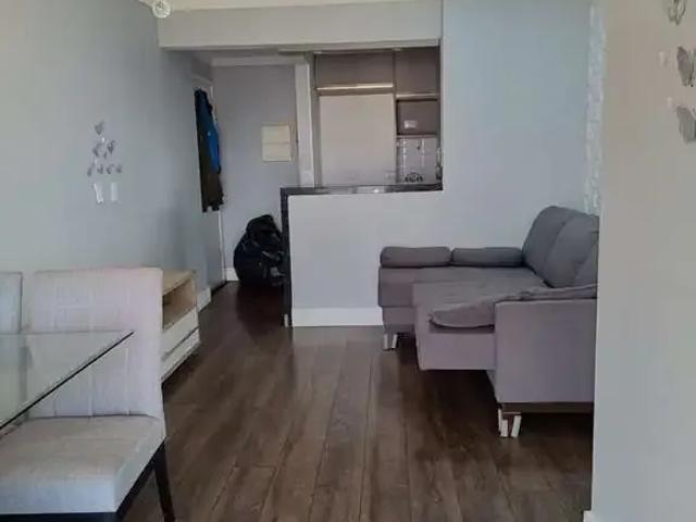 Apartamento para Locação em São Paulo/SP Vila das Mercês 3 Quartos