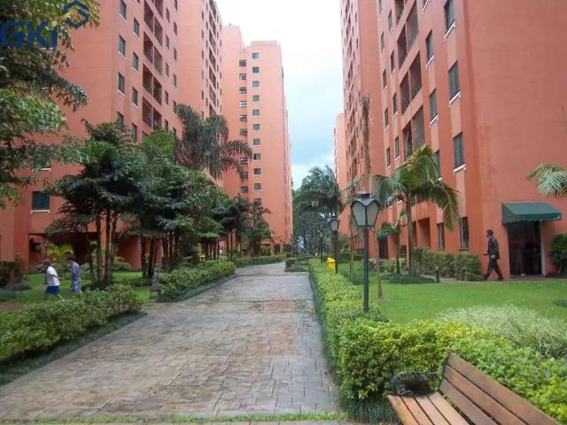 Apartamento para Locação em São Paulo/SP Vila do Castelo 3 Quartos