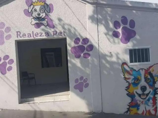 Apartamento para Locação em São Paulo/SP Vila Gomes Cardim