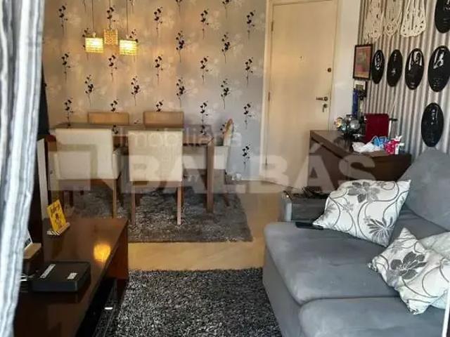 Apartamento para Locação em São Paulo/SP Vila Gomes Cardim 3 Quartos