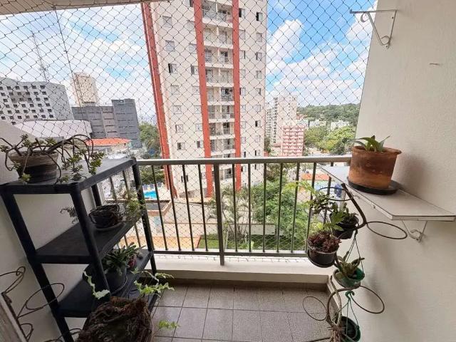 Apartamento para Locação em São Paulo/SP Vila Gomes 3 Quartos