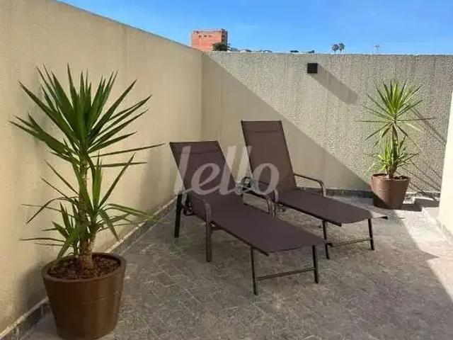 Apartamento para Locação em São Paulo/SP Vila Santa Catarina 1 Quartos