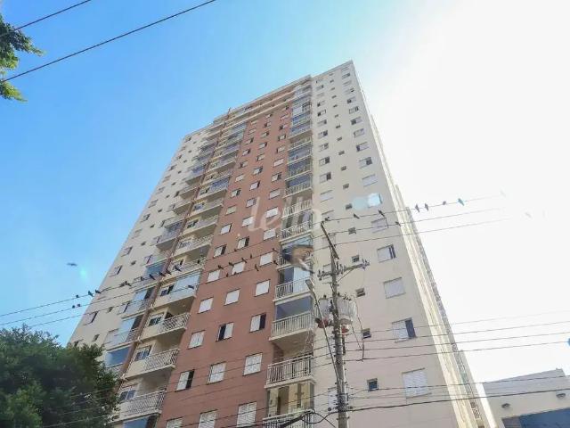 Apartamento para Locação em São Paulo/SP Brás 3 Quartos