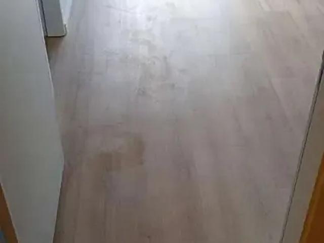 Apartamento para Locação em São Paulo/SP Butantã 2 Quartos