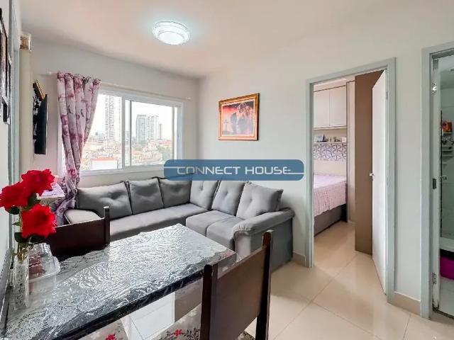 Apartamento para Locação em São Paulo/SP Cambuci 2 Quartos