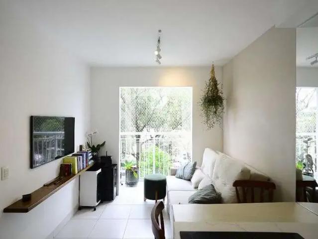 Apartamento para Locação em São Paulo/SP Cambuci 2 Quartos